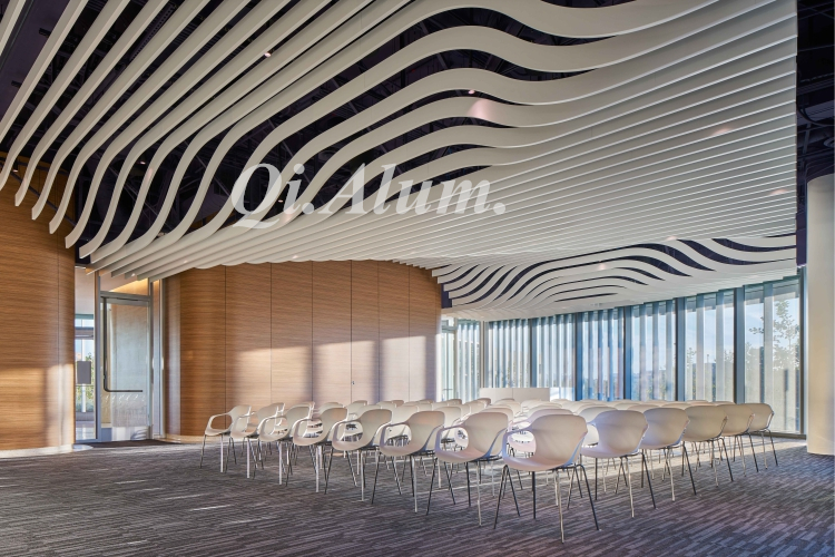 Aluminum curve hollow tube suspended ceiling for mall,meeting room ...